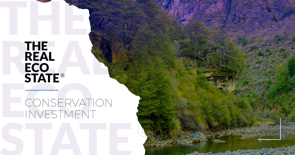 The Real Eco State | Sustainable investment